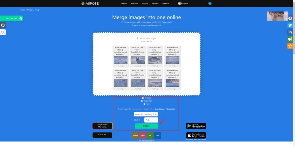 How to Capture Images from Video and Combine Them into One? - Swyshare